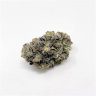 Buy G Code Strain (Hybrid - AA) | Get Up 20% OFF