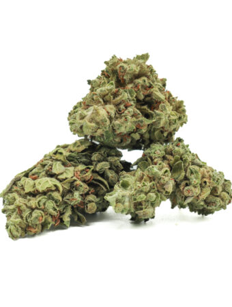 Buy Gorilla Glue #4 Strain Hybrid | GG4 Weed Strain