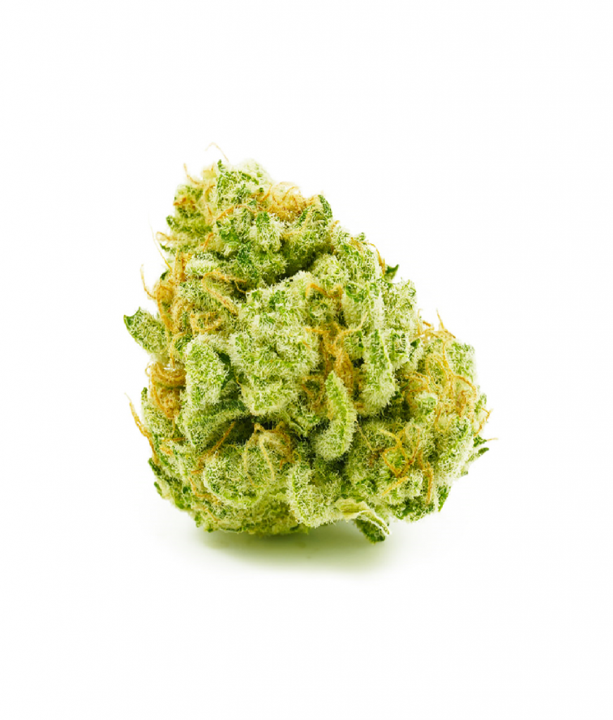 Order Zombie OG Strain - Buy Zombie Kush Hybrid Online in Canada